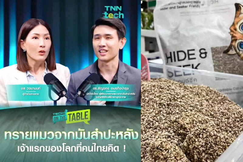 ทรายแมวจากมันสำปะหลังเจ้าแรกของโลกที่คนไทยคิด – ttta-tapioca.org